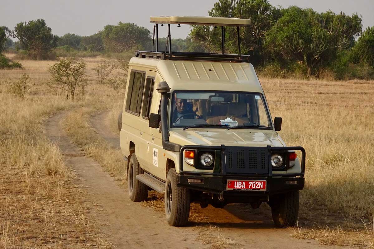 Guide ultime pour une aventure safari inoubliable en Ouganda